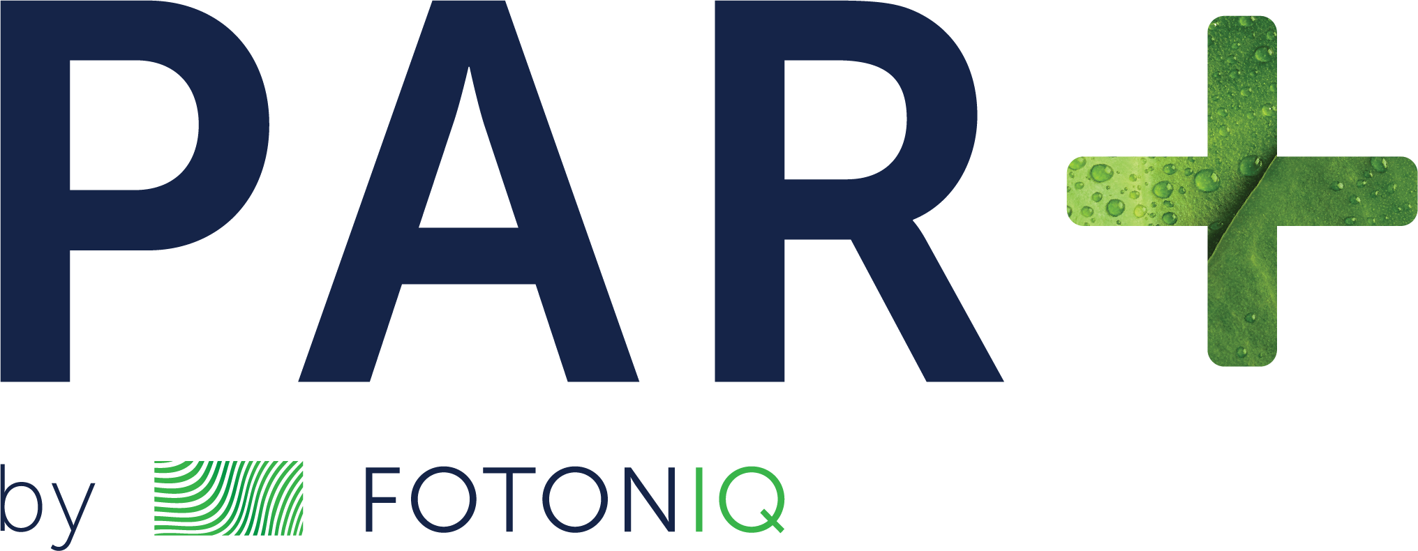 PAR+ - Division Q Division Q